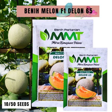 Ori Biji Benih Melon F1 Hibrida Delon 65 Mmt 400 Seed Kemasan Repack