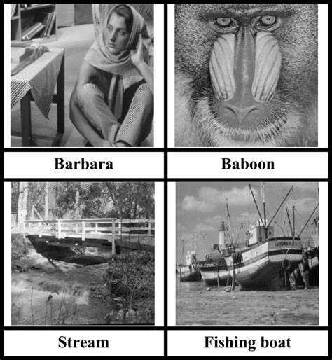 grayscale images used in the proposed technique download scientific