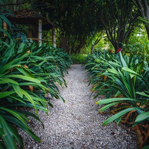 Narrow Pathway With Plants In The Botanical Garden Menton France
