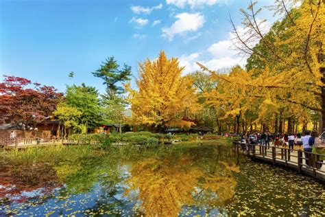 Autumn Of Nami Island In The Morning South Korea Editorial Photo