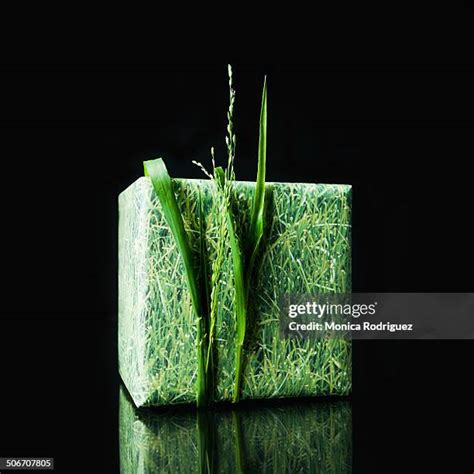 Grass Cube Photos And Premium High Res Pictures Getty Images