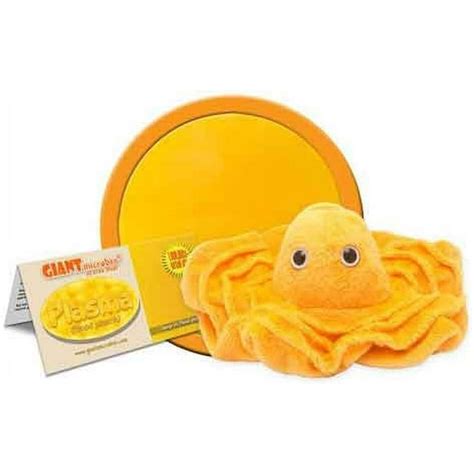 Giantmicrobes