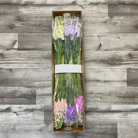 Stock Assorted Box 120 Stems Flowers And Services