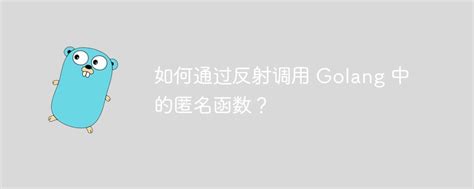 如何通过反射调用 Golang 中的匿名函数? 美云 如何通过反射调用 Golang 中的匿名函数? 美云