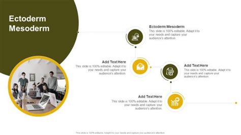 Ectoderm Mesoderm Powerpoint Templates Slides And Graphics
