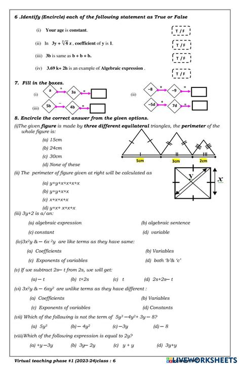 Ayesha Faisal Simplification Of Algebraic Expression