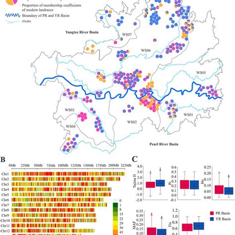 Geographic Distribution Snps Density And Genetic Diversity Of 253