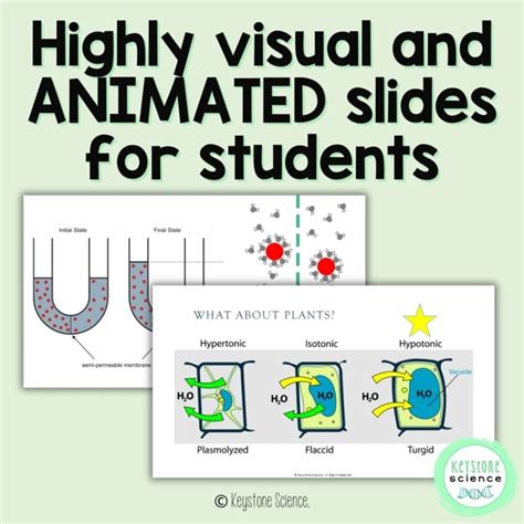 Cell Membrane And Transport Ppt With Guided Notes Biology Steels Ngss