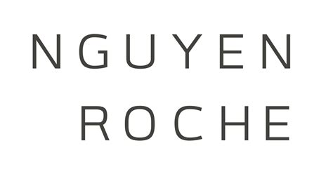 Maryland Corporate Litigation Criminal Attorney Home Nguyen Roche