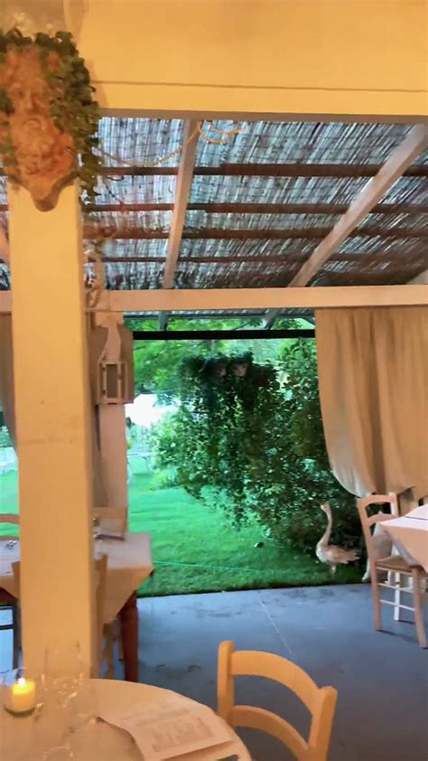 Our Favorite Restaurant While We Were In Aviano 🇮🇹🍝 Nave Di
