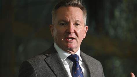 Brisbane Households Who Dont Want Green Waste Bin Hit With 50 Fee