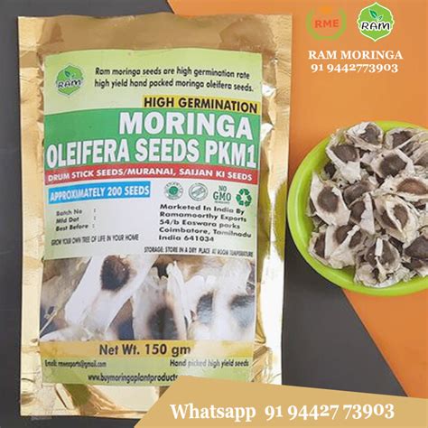 How To Grow The Moringa Tree Moringa Products