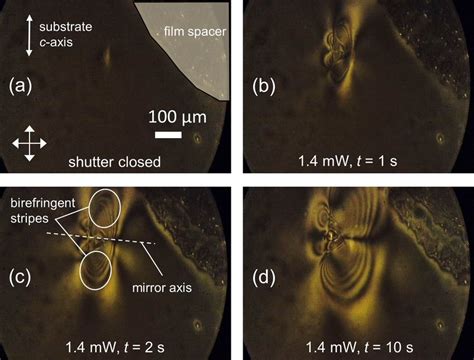 Light Induced Defect Formation In Vertically Aligned Photovoltaic Lc