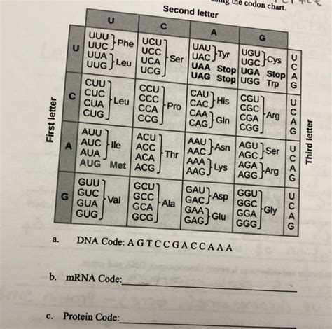 Solved Ling The Codon Chart Second Let B Mrna Code C Protein