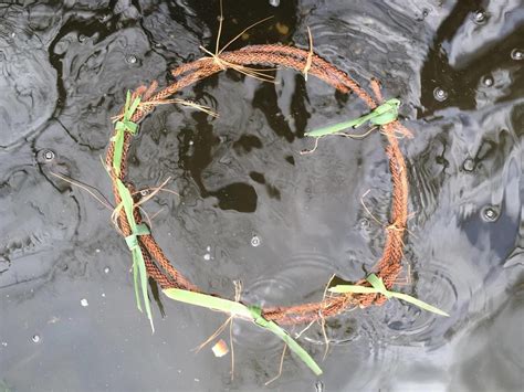 Reflection Week 6 Creative Arts Reflection Blog