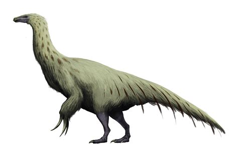 Therizinosaurus Feathers