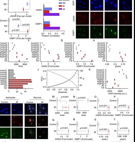 Figure 3 From Nuclear Morphology Is A Deep Learning Biomarker Of
