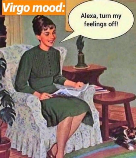 55 Best Virgo Memes That Describe This Zodiac Sign Yourtango