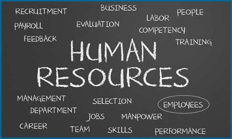 Human Resource Profile
