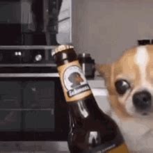  Bier Tenor