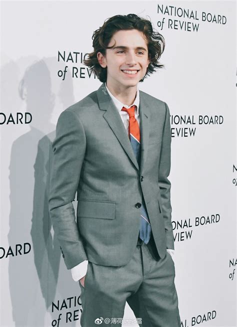 提莫西·查拉梅timothée Chalamet（甜茶） 高清图片，堆糖，美图壁纸兴趣社区