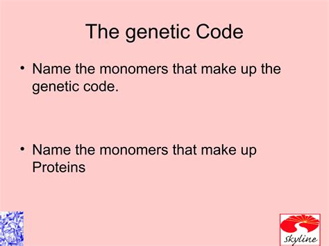 Power Point Presentation On Microbial Genetics 2 Ppt