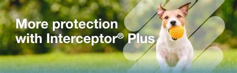 Interceptor Plus Prevention For Heartworm 4 Other Worms