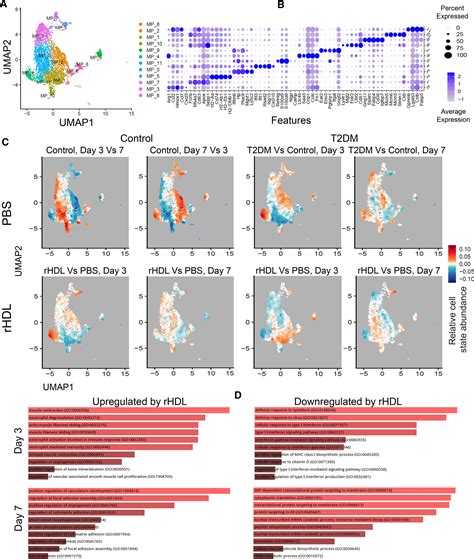 Apoa I Nanotherapy Rescues Postischemic Vascular Maladaptation By
