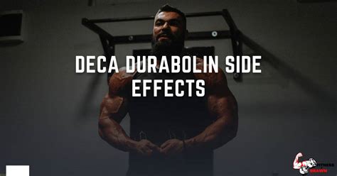 Deca Durabolin Side Effects Cycles Hair Loss Bodybuilding Fitness And Brawn