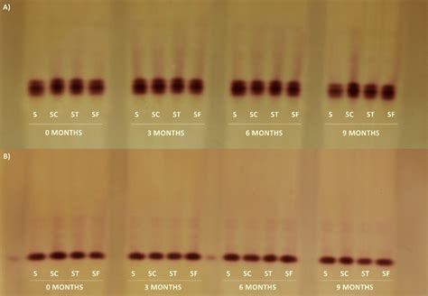 Esterase Expression In Seeds Of The Hybrids 2b647pw A And Shs4070 B