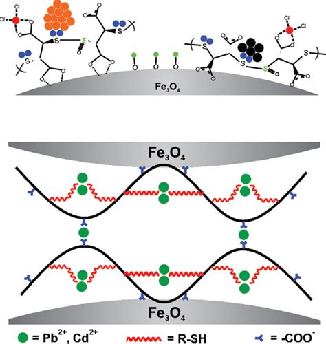 Nanostructured Spinel Ferrites Synthesis Functionalization Nanomagnetism And Environmental