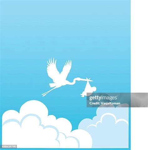 1420 Stork High Res Illustrations Getty Images