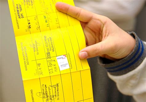 2020 Kommt Der Elektronische Impfpass Österreich Derstandardat › Panorama