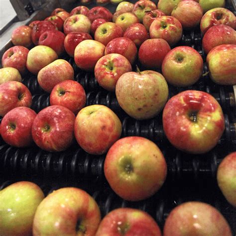 Apeel Behind The Label Well Being Journal