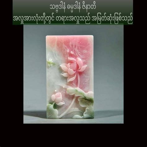 သောတုဇနသုခကာရီဖောင်ဒေးရှင်း 🌸 အနှိုင်းမဲ့အလှူ 🌸 တရားအလှူကို မည်သူမဆို