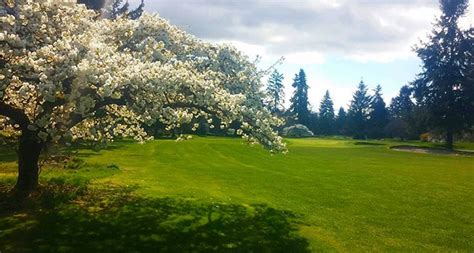 Oakbrook Golf Club Pacific Coast Golf Guide