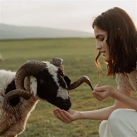 About Us Glami Wordpress Theme