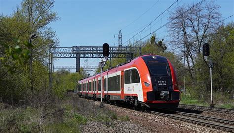 Mariusz Kozłowski Flickr