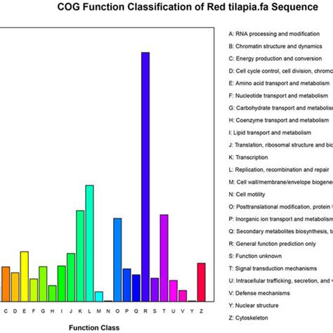 Histogram Presentation Of Cog Classification Download Scientific