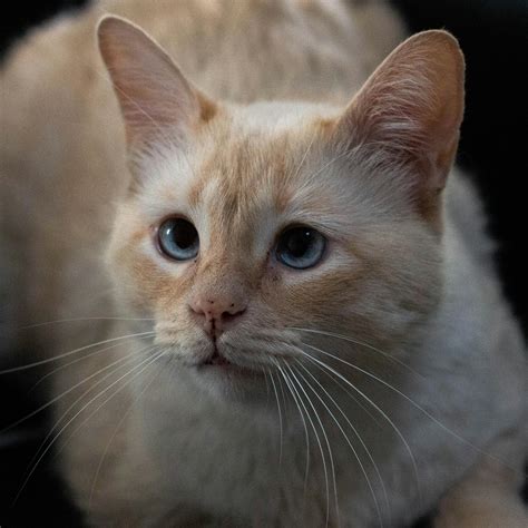 Pablo Erick Torres Villalobos Photography