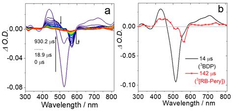 The Rhodamineperylene Compact Electron Donoracceptor Dyad Spin Orbit