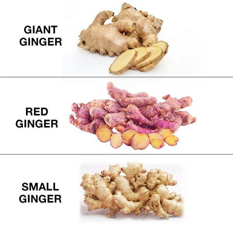 Ginger Grand Royal Spices