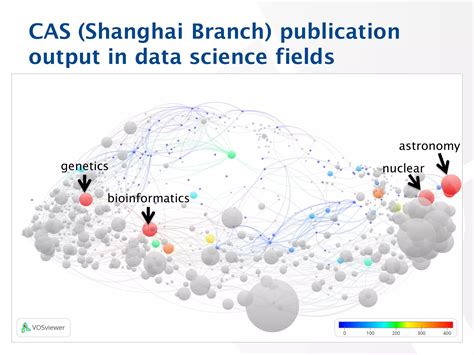 Large Scale Analysis Of Bibliometric Networks Ppt