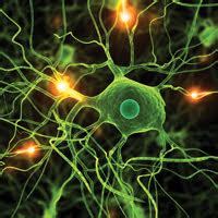 Computational Microscopy Sensing And Diagnostics For Telemedicine And Global Health