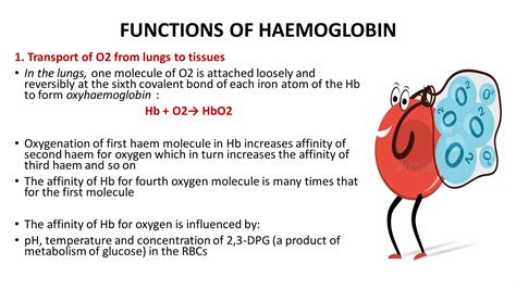 Hemoglobin 2 Pdf
