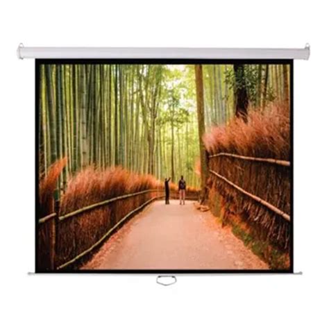 Manual Projection Screen Contrast Ratio 16000 1 At 2478 00 Inr In