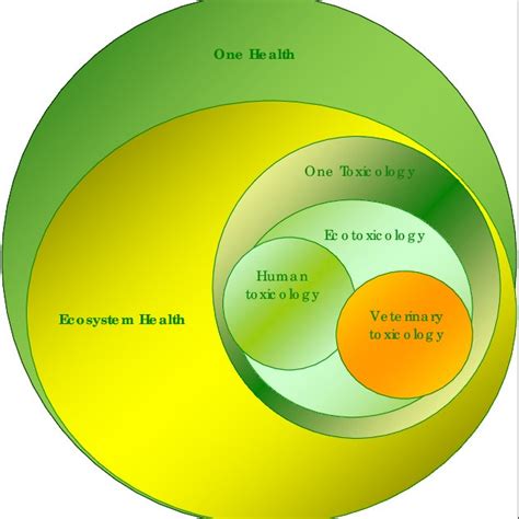 Inter Relationships Among Professionals Who Work In One Health