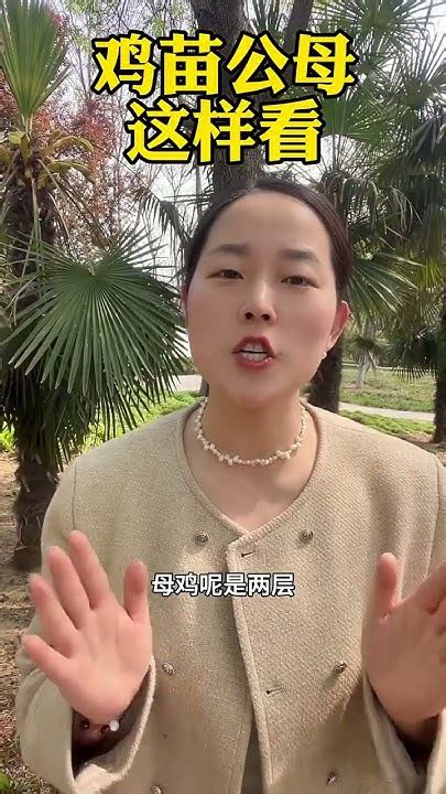 散养土鸡 科学养鸡 养鸡小妙招 快手创作者中心我要上热门快手涨粉助手 鸡苗公母这样分 快 科普 搞笑 Youtube