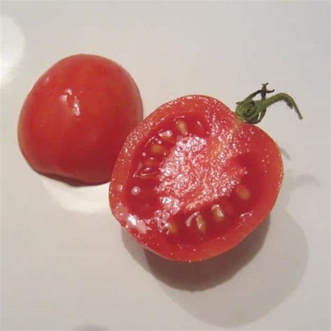 Little Tiger Striped Karierte Tomate Little Tiger Striped Karierte Tomate