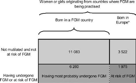 Number Of Women Living With Fgm In Belgium By Actual Fgm Status And